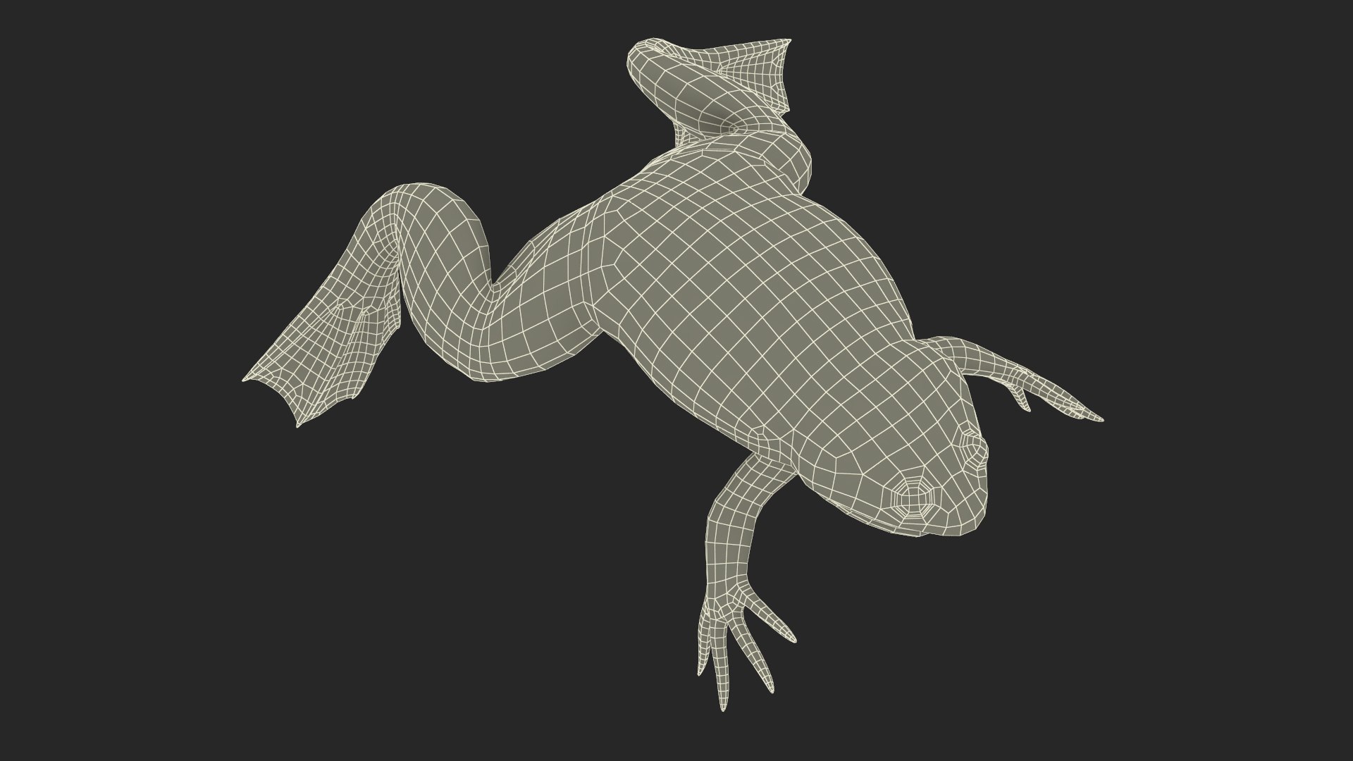 African Claw-toe Frog Rigged for Cinema 4D 3D model - TurboSquid 2146958