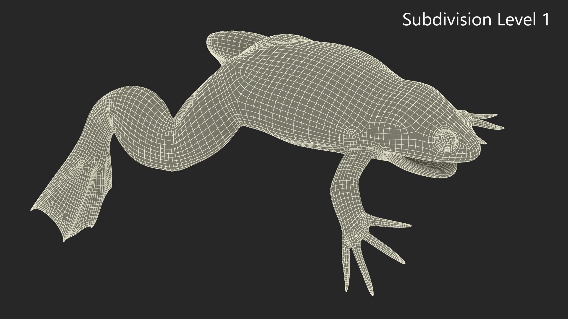 African Claw-toe Frog Rigged for Cinema 4D 3D model - TurboSquid 2146958