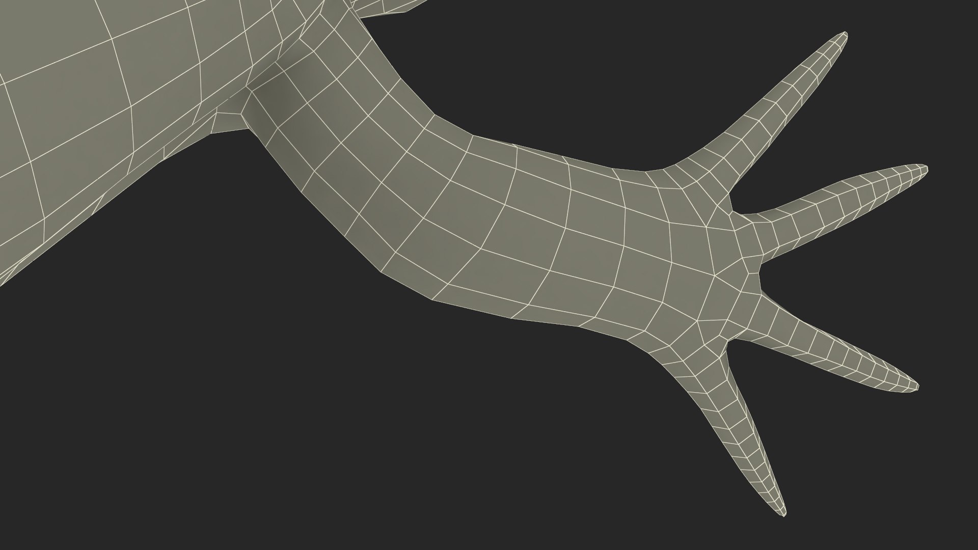 African Claw-toe Frog Rigged for Cinema 4D 3D model - TurboSquid 2146958