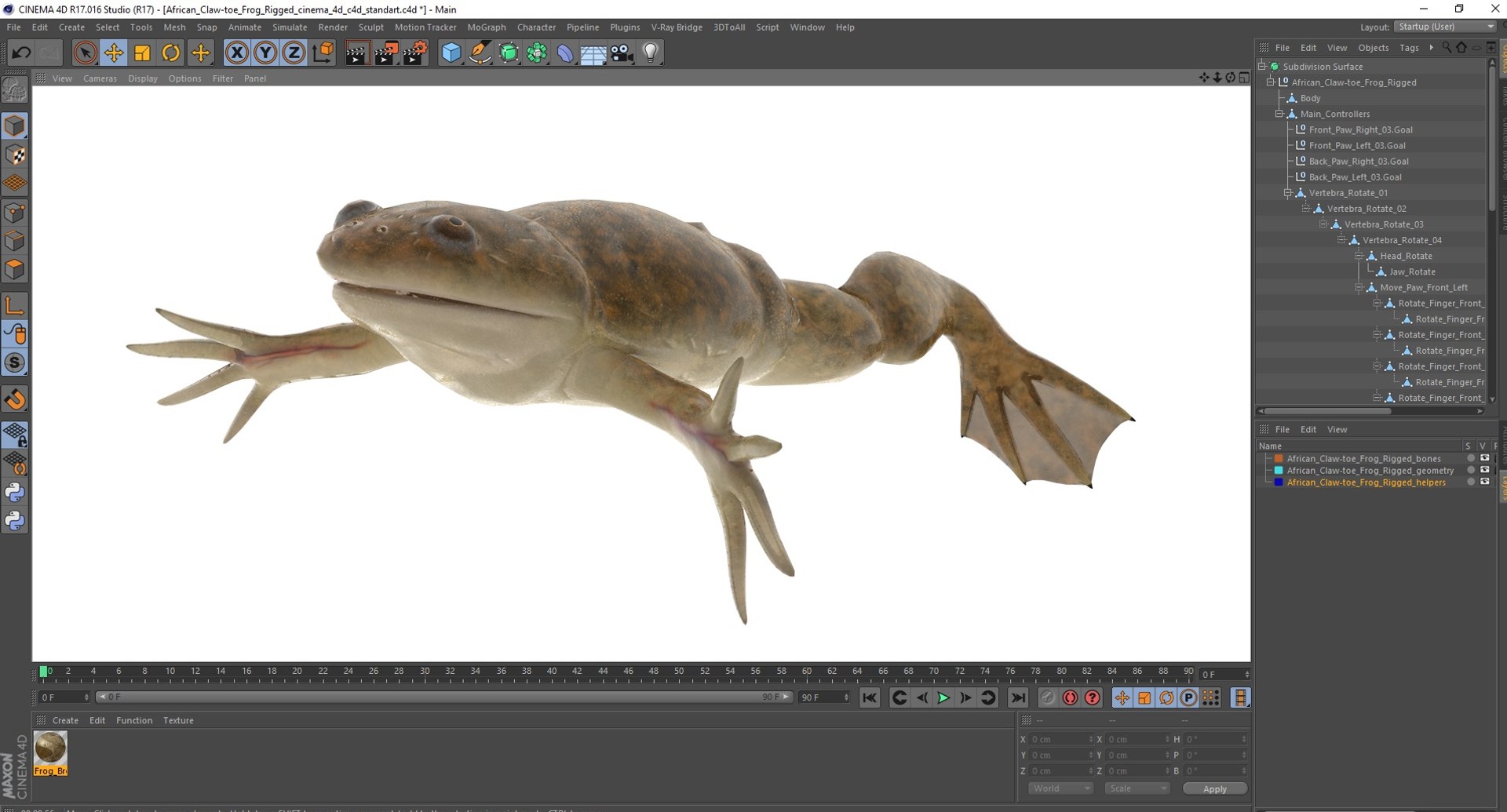 African Claw-toe Frog Rigged for Cinema 4D 3D model - TurboSquid 2146958
