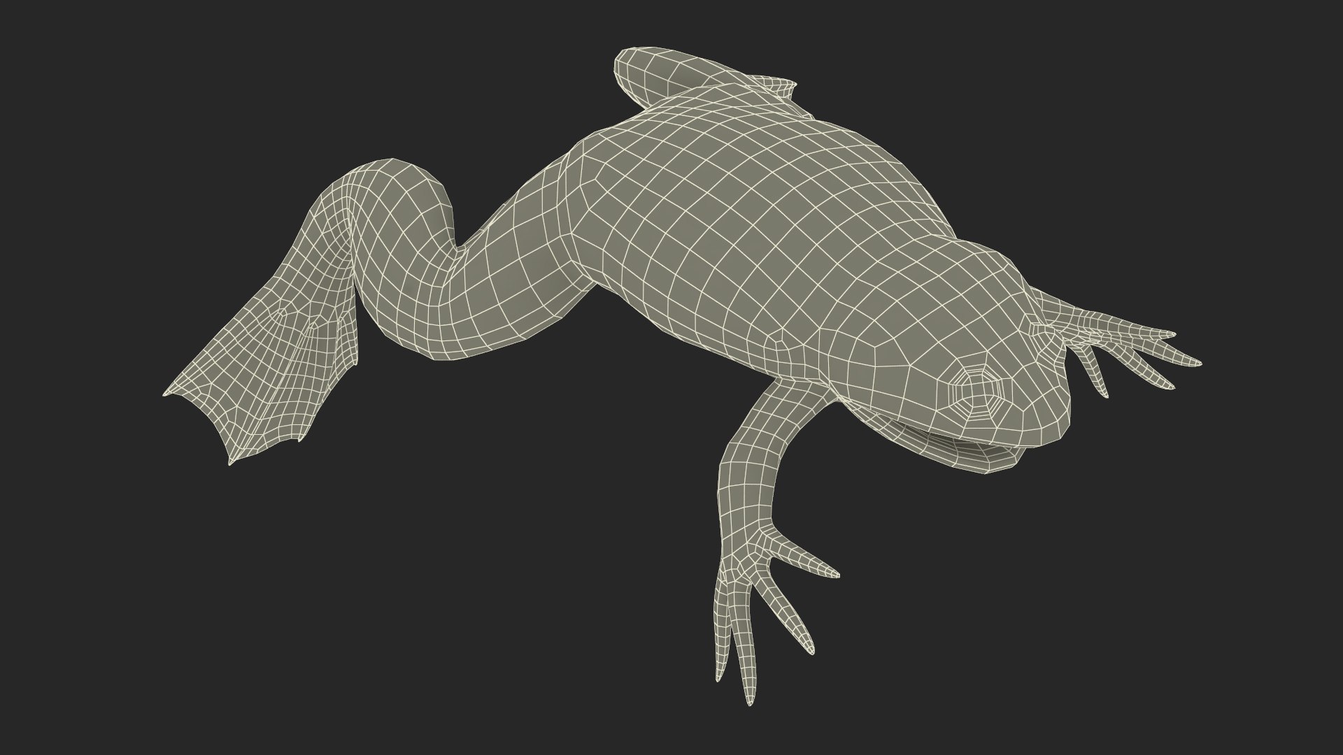 African Claw-toe Frog Rigged for Cinema 4D 3D model - TurboSquid 2146958