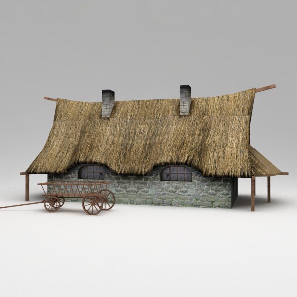 3d village house model