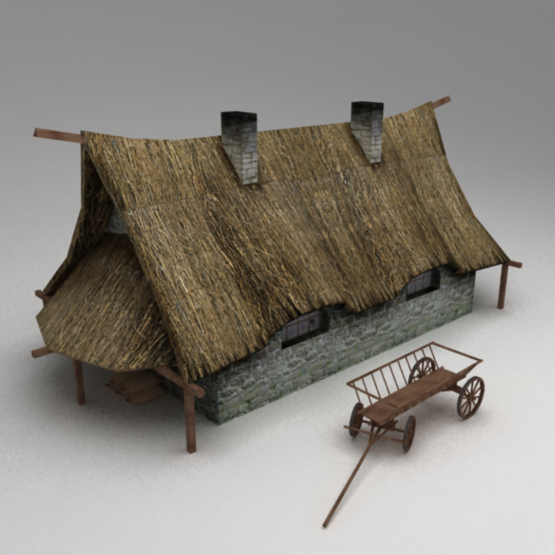 3d village house model