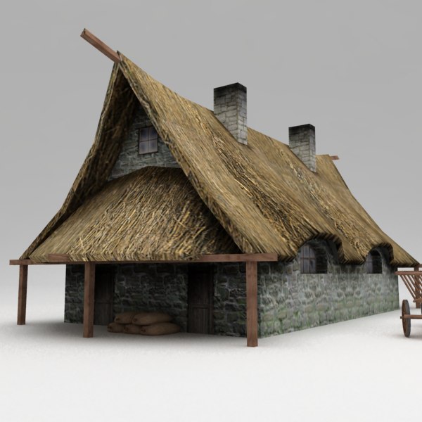 3d village house model