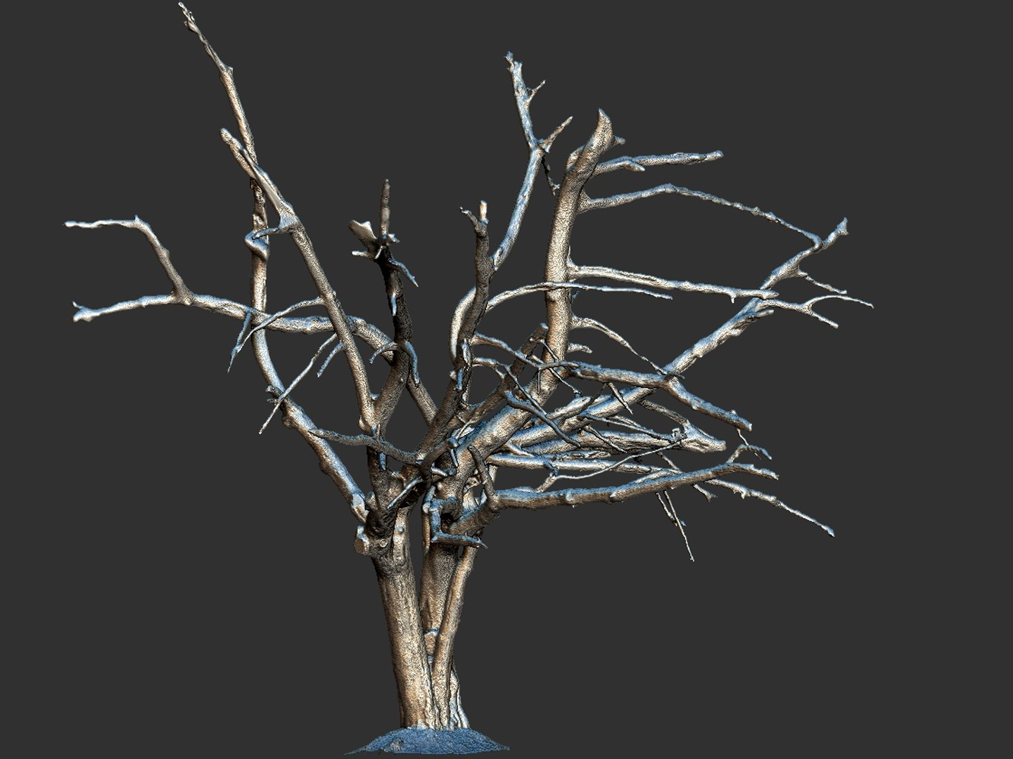 3D Old Forest Pack 3 - TurboSquid 1353995