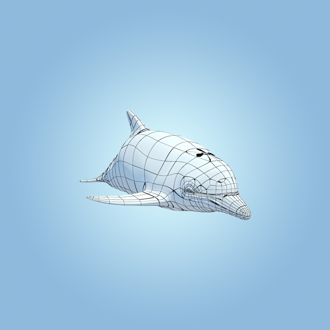 Dolphin Animation Flippers 3d Max