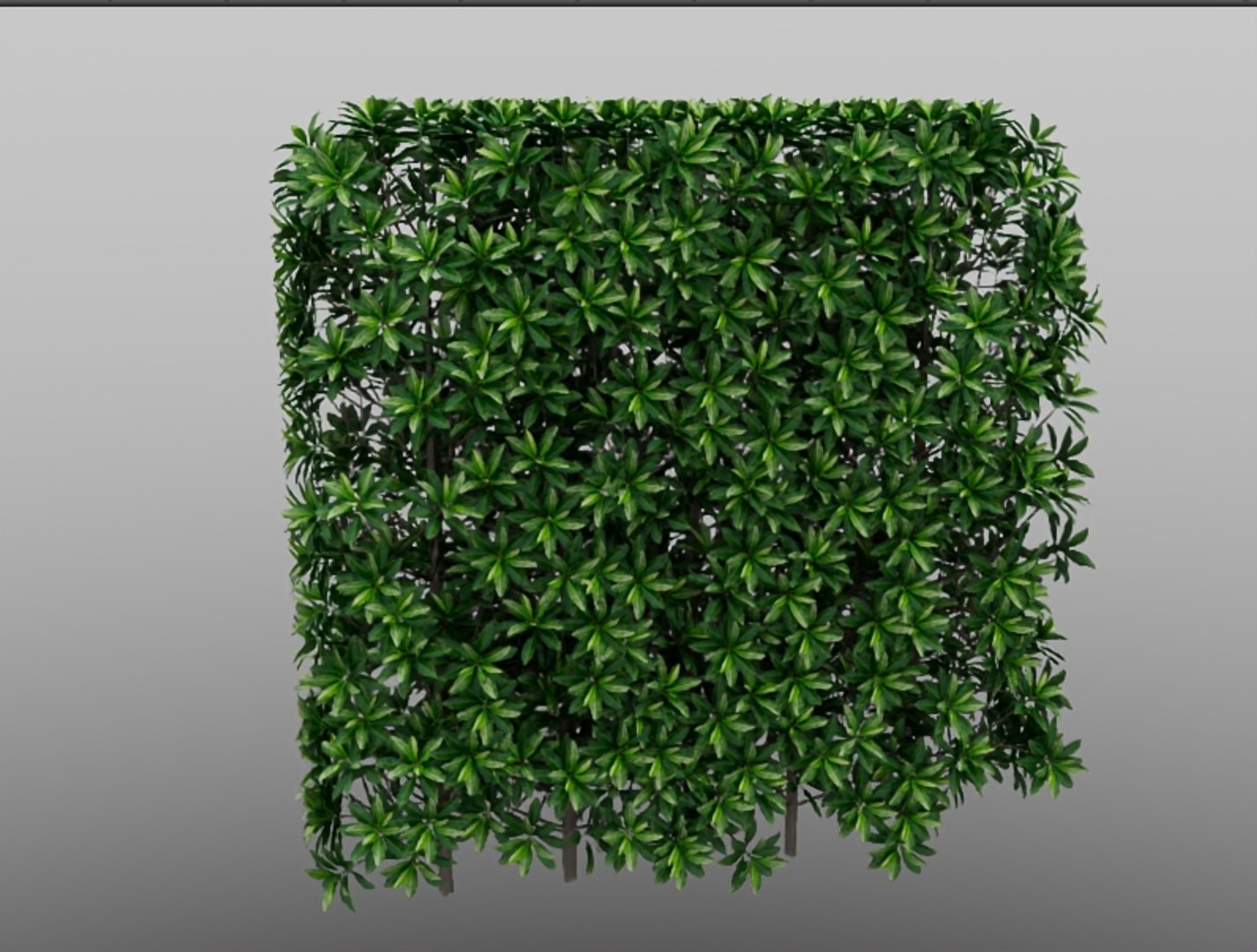 Hanging Green Plant Model 3D Model - TurboSquid 2379650