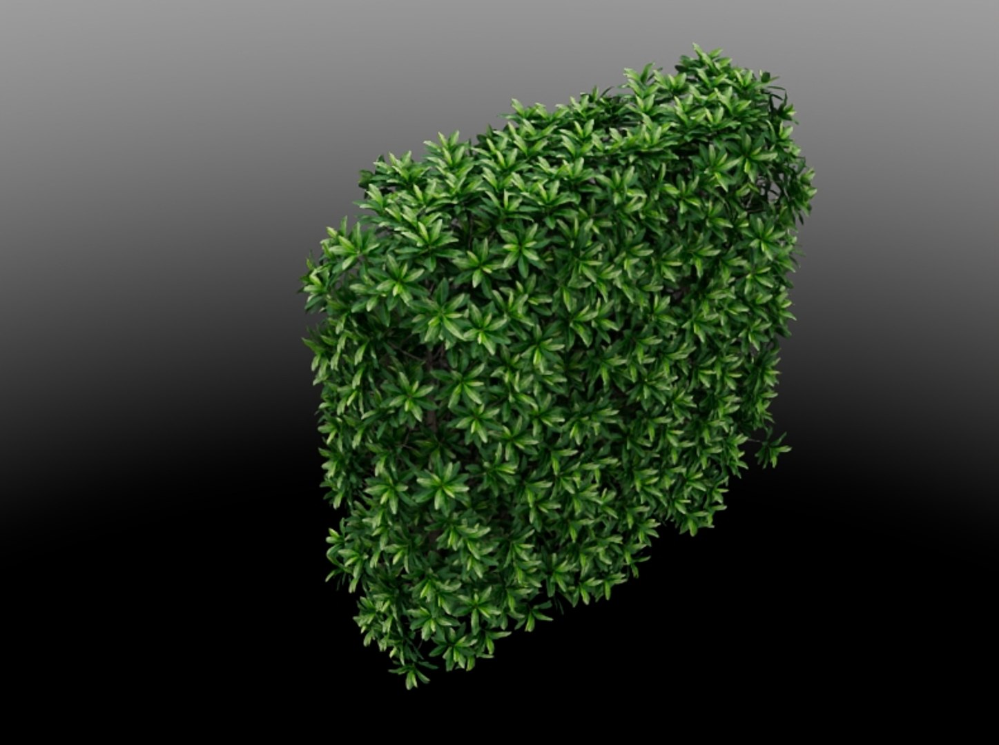 Hanging Green Plant Model 3D Model - TurboSquid 2379650