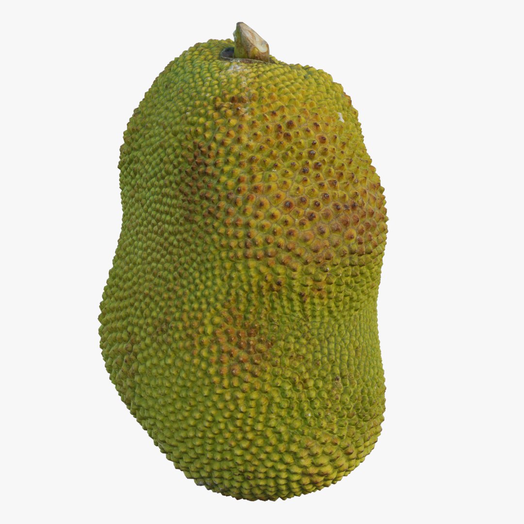 3D model Jackfruit 03 - TurboSquid 1943707