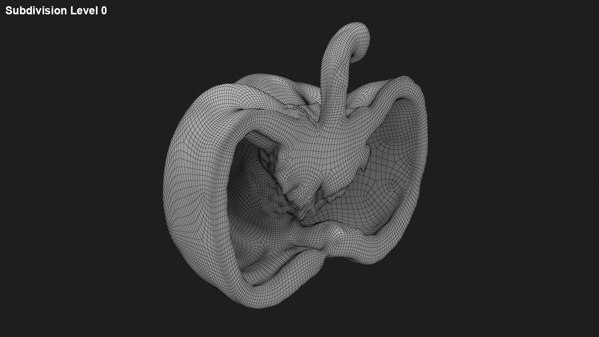 3D Model Green Bell Pepper Collection - TurboSquid 2262955
