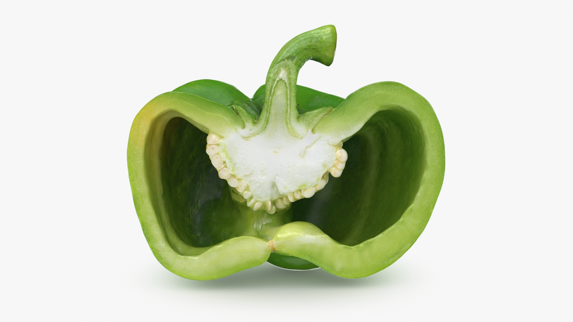 3D Model Green Bell Pepper Collection - TurboSquid 2262955