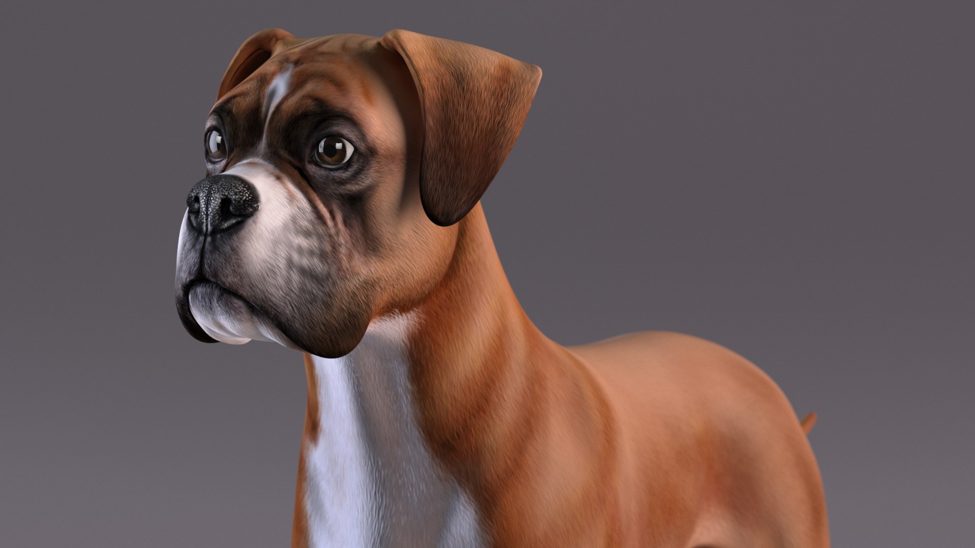 Boxer Dog For 3D Print 3D Model - TurboSquid 2282732