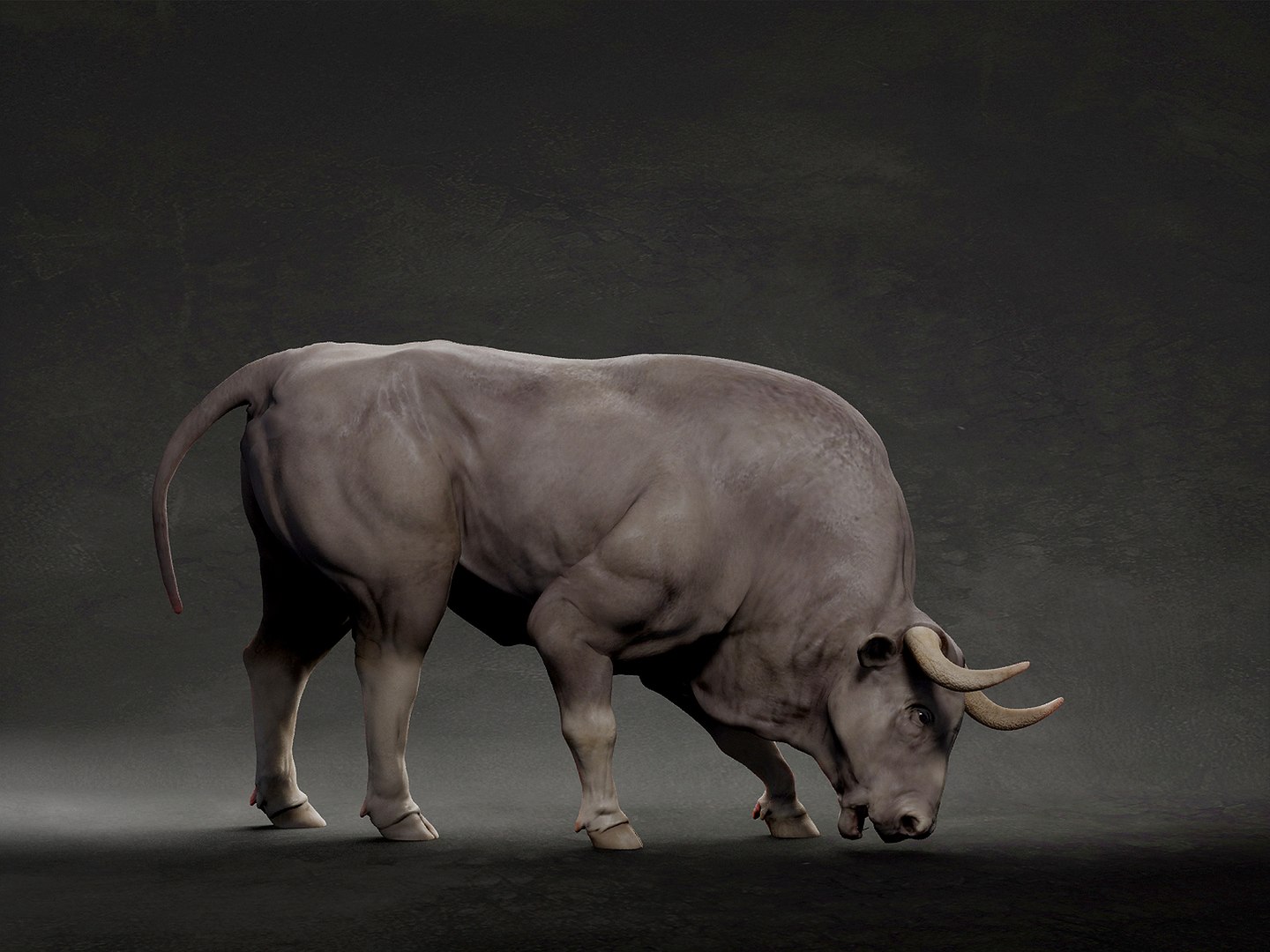 Animal Bull Model - TurboSquid 1683651