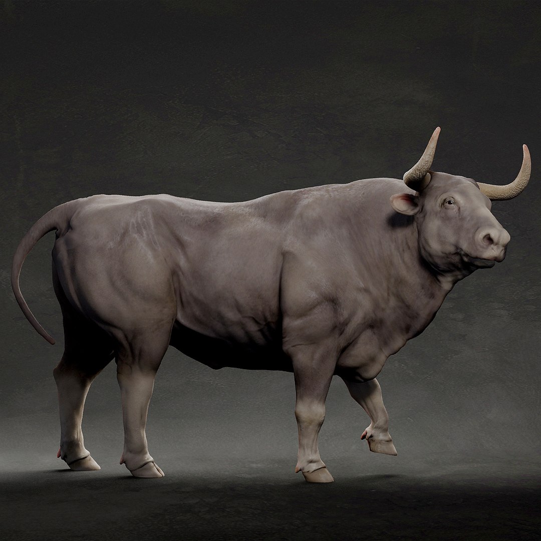 Animal Bull Model - TurboSquid 1683651