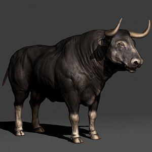 Bull 3D Models for Download | TurboSquid