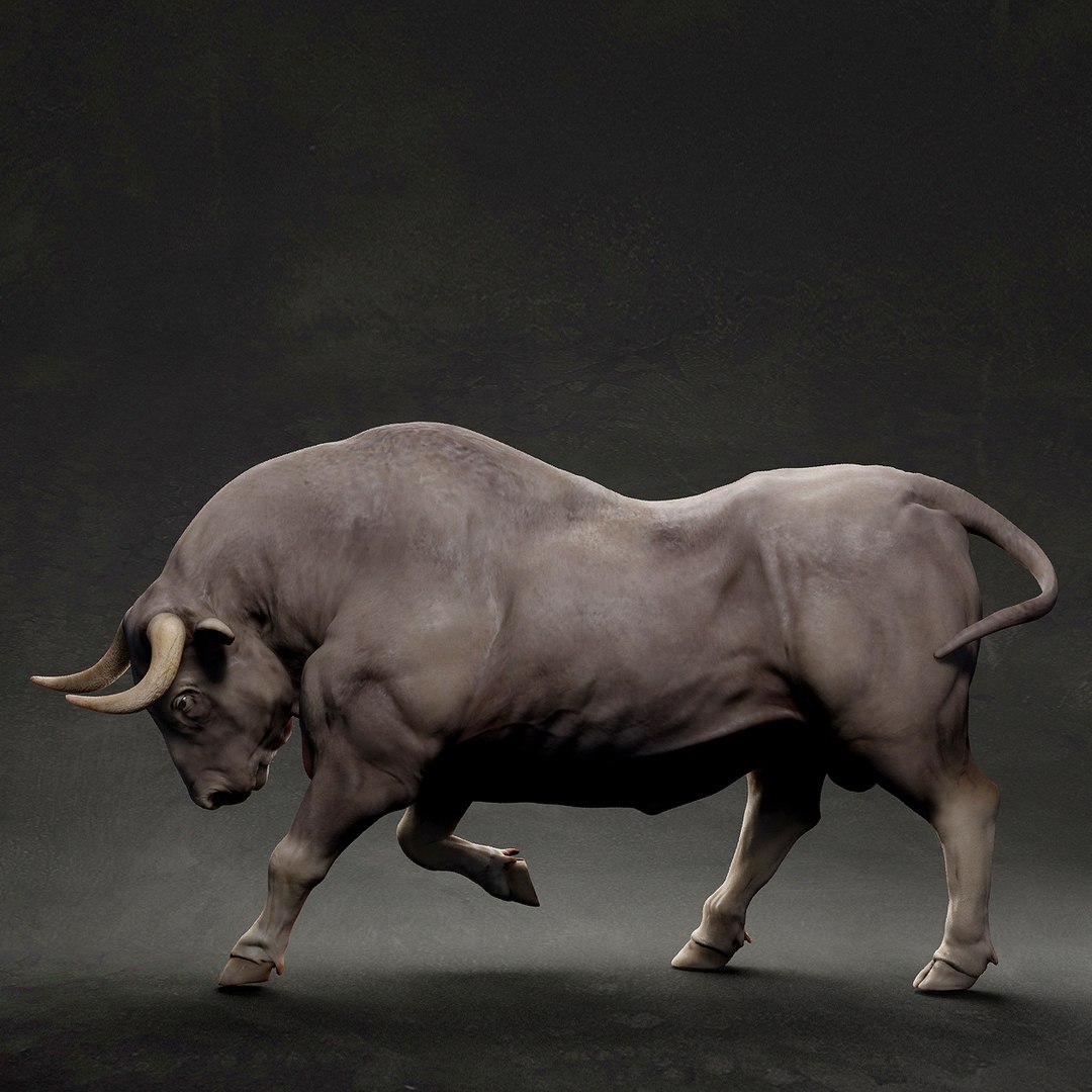 Animal Bull Model - TurboSquid 1683651