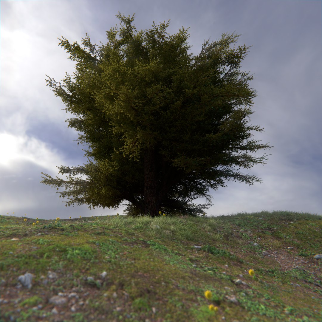 3D Model Procedurally Tree - TurboSquid 1323363