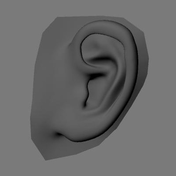 Free 3D Ears Models | TurboSquid
