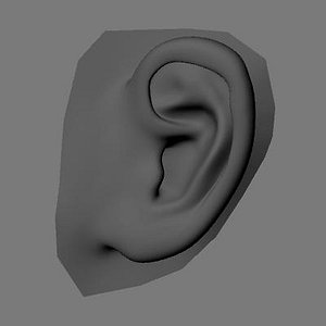 Free Anatomy Ear 3D Models For Download | Premium Quality Available
