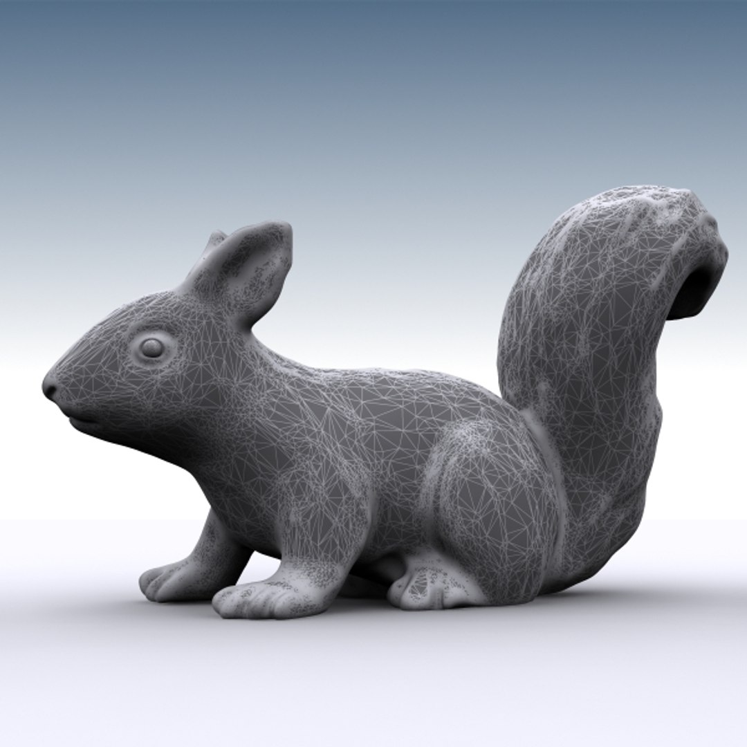 3d Model Squirrel