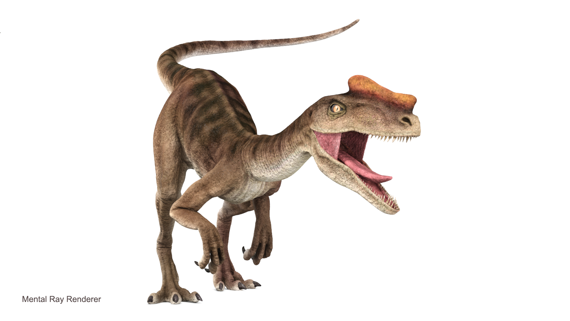 modelo 3d Proceratosaurus: aparejado y animado - TurboSquid 1771915