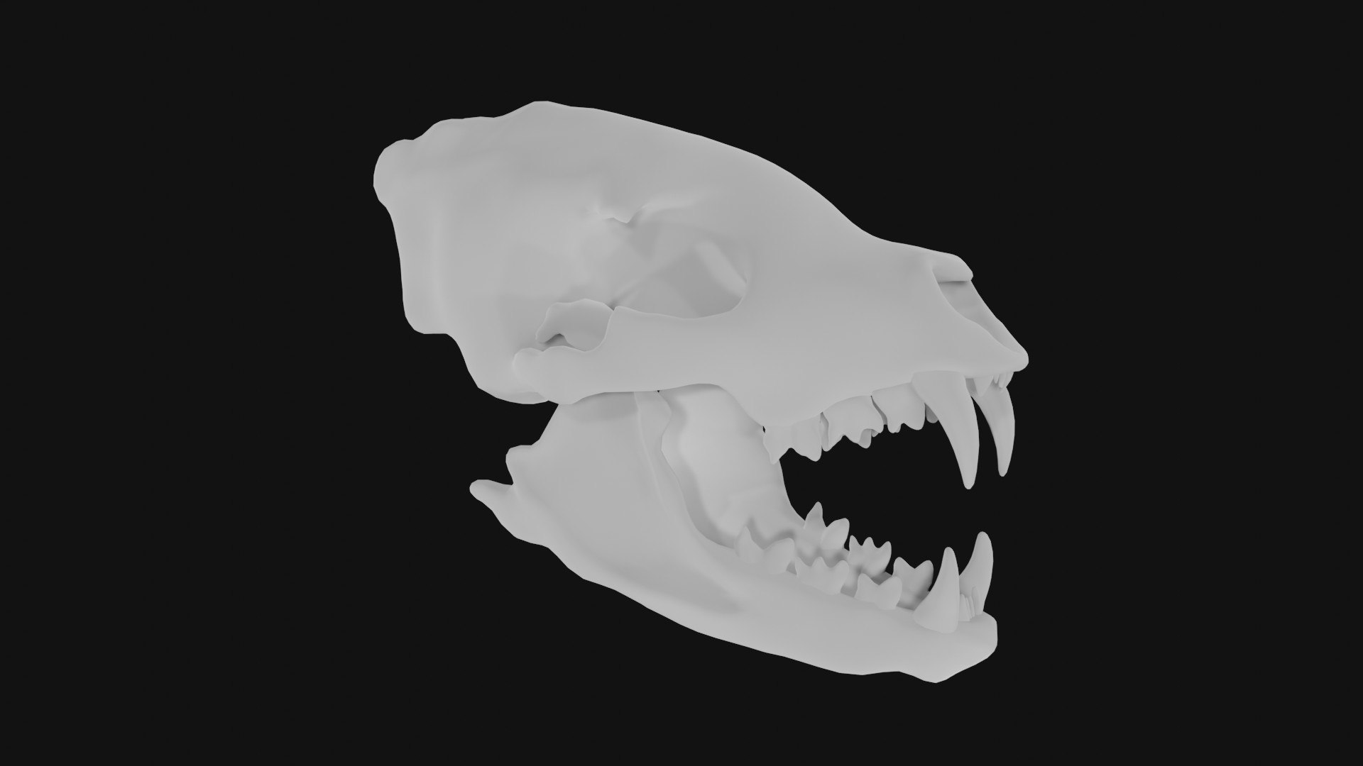 3D Hyena Skull - TurboSquid 1991001