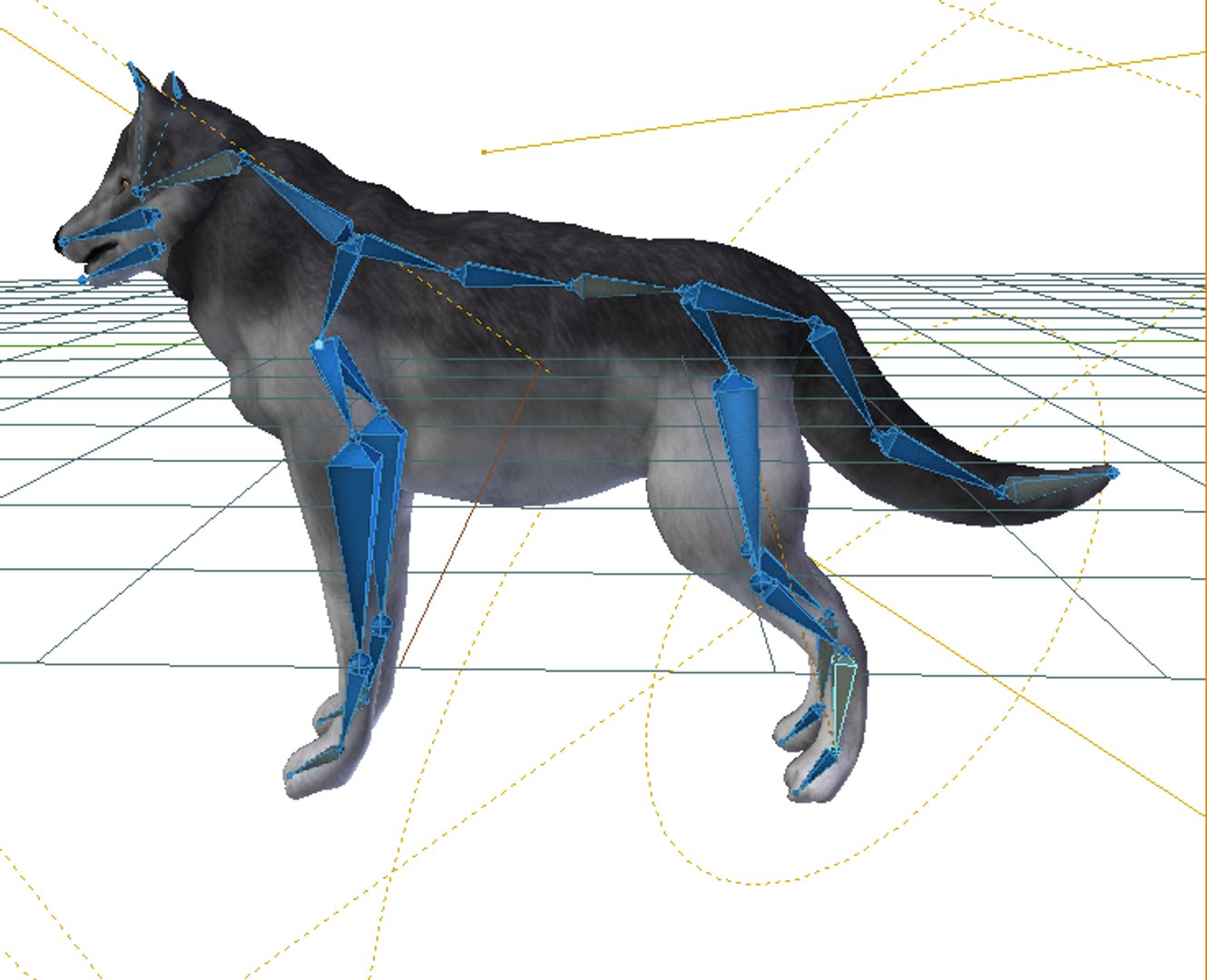 Free Wolf L 3d Model