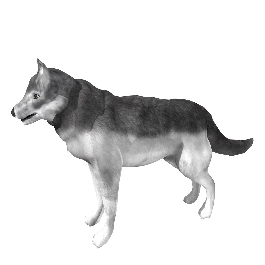 Free Wolf L 3d Model