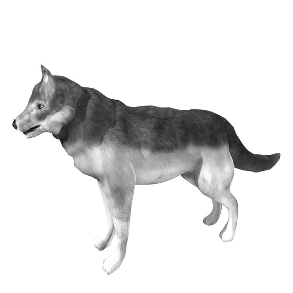 Free Blender Dog Models | TurboSquid
