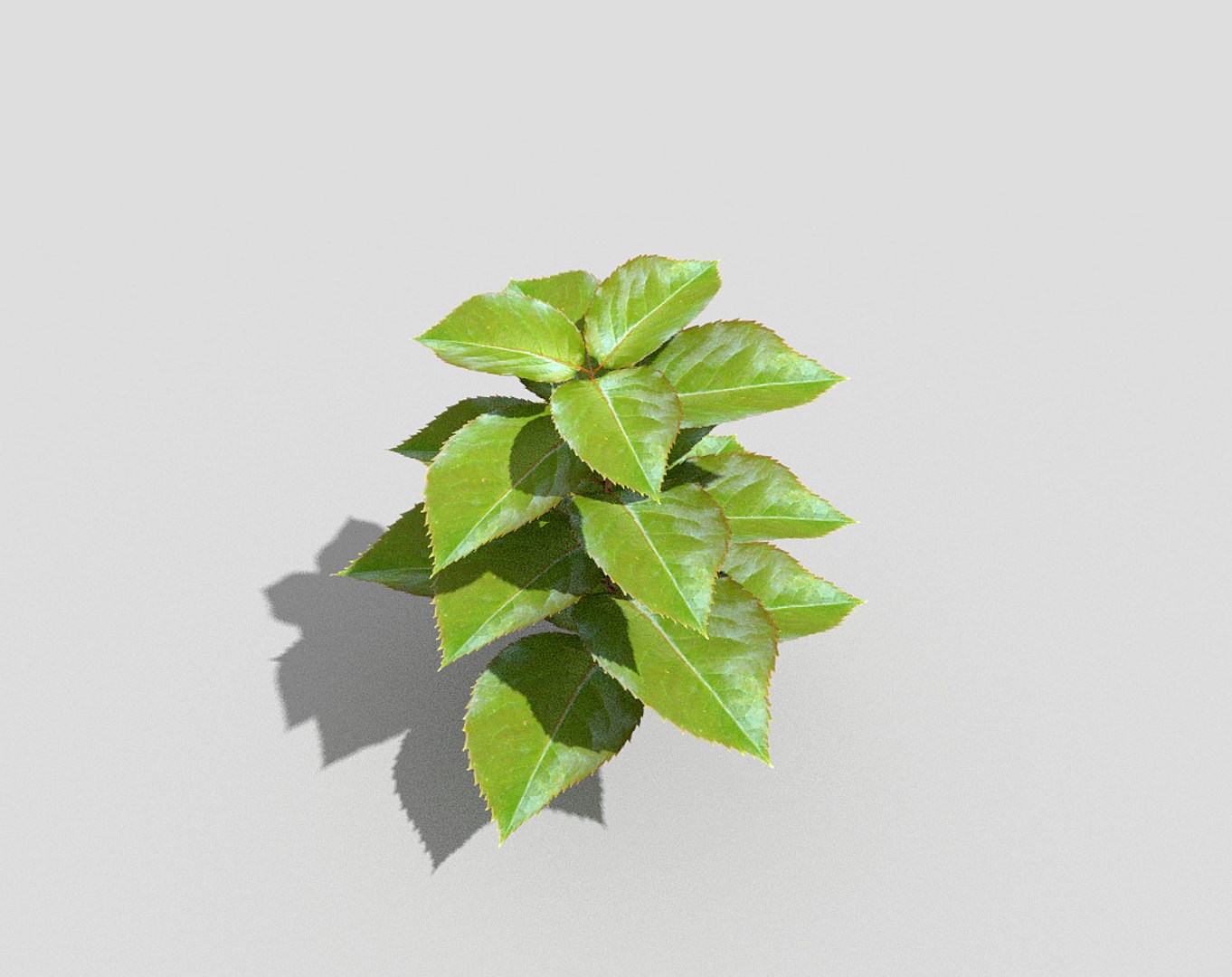 3d Model Plant