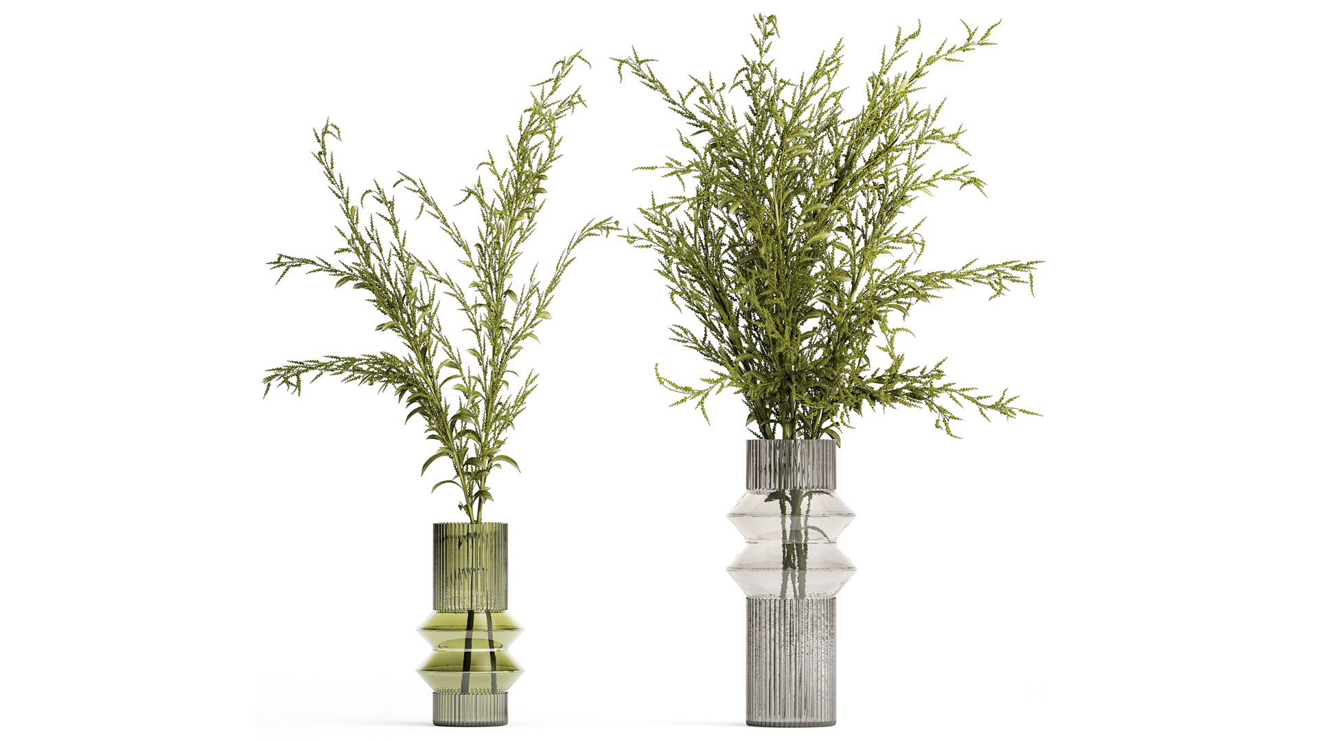 3D Bouquets Of Green Branches Of Solidago Flowers In A Vase 402 - TurboSquid 2212384