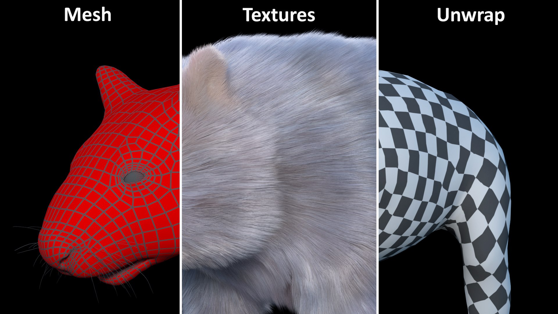 Wombat Grey Fur Rigged 3D Model - TurboSquid 2099521