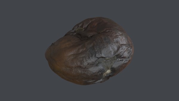 Rotten Mango 3D model - TurboSquid 1749540