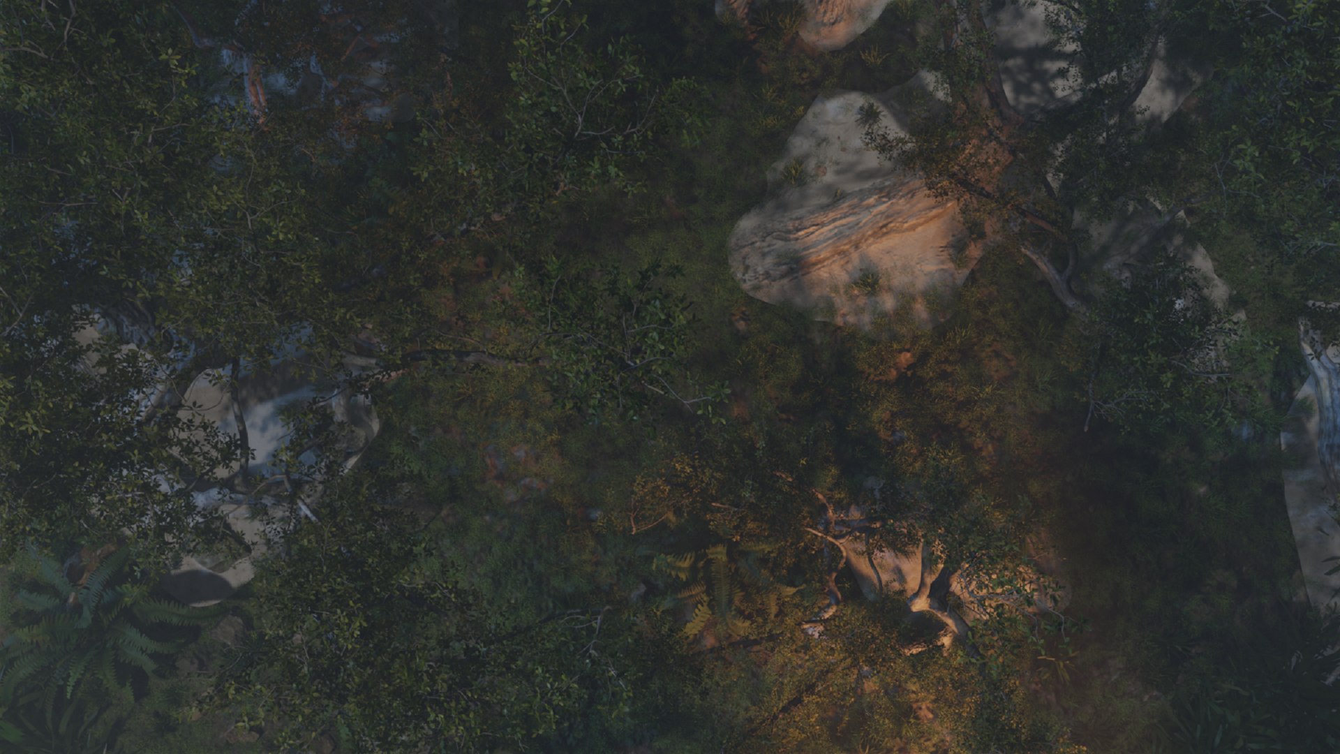 Dense Foggy Forest Jungle Wilderness Model - TurboSquid 2021318