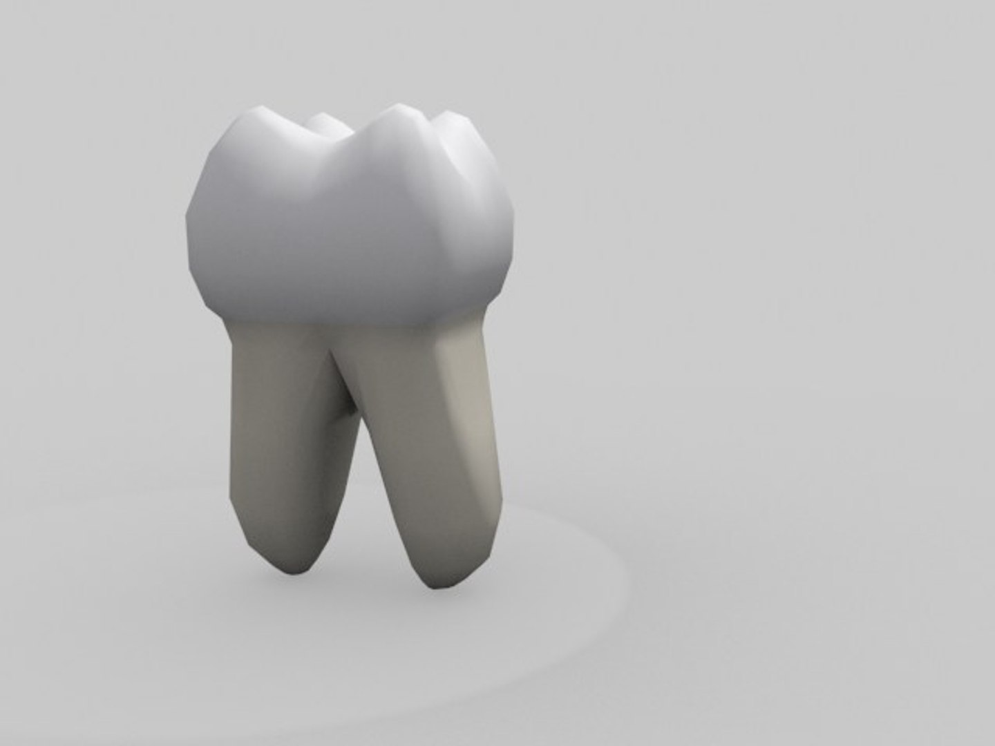 Teeth Molar Model