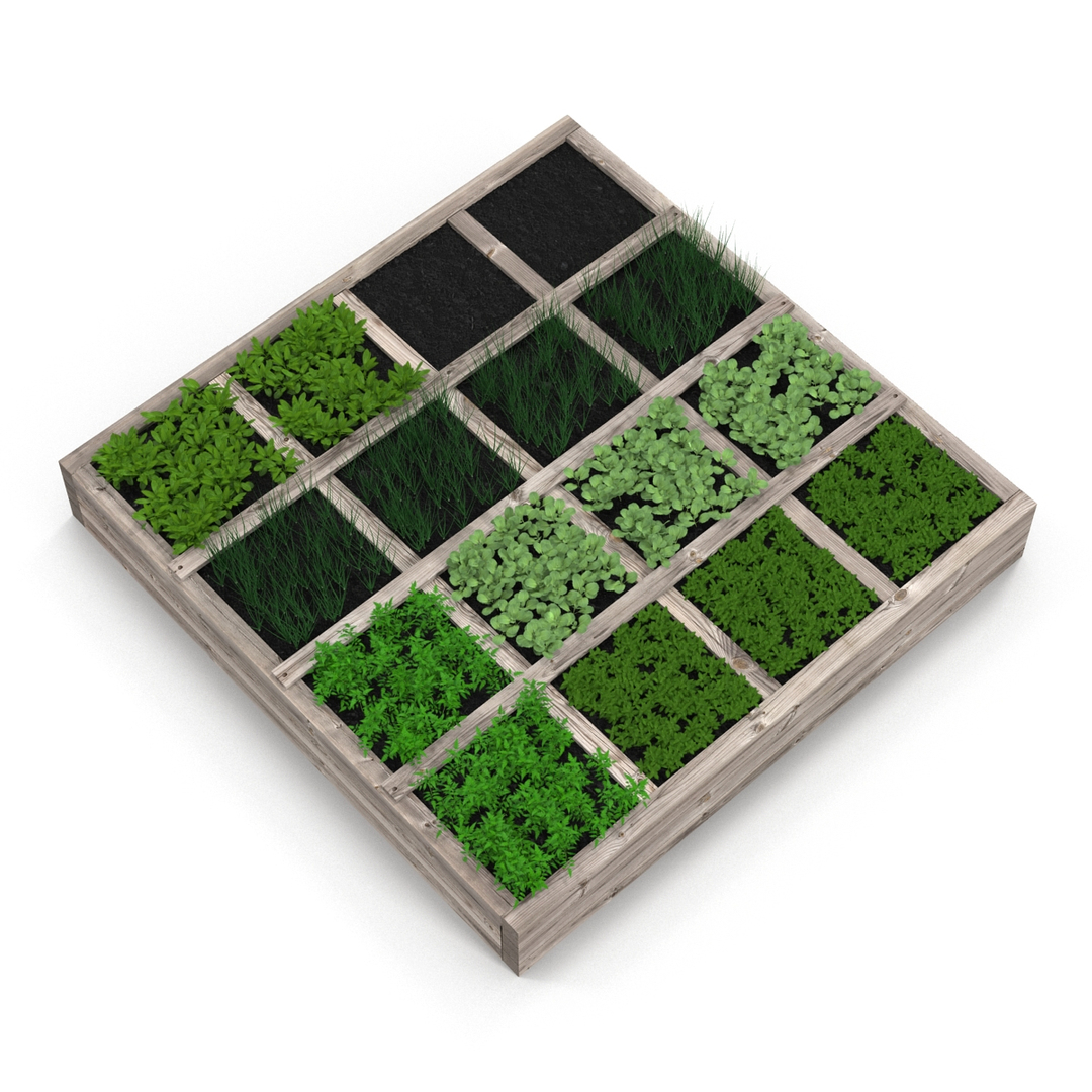 3d vegetable garden