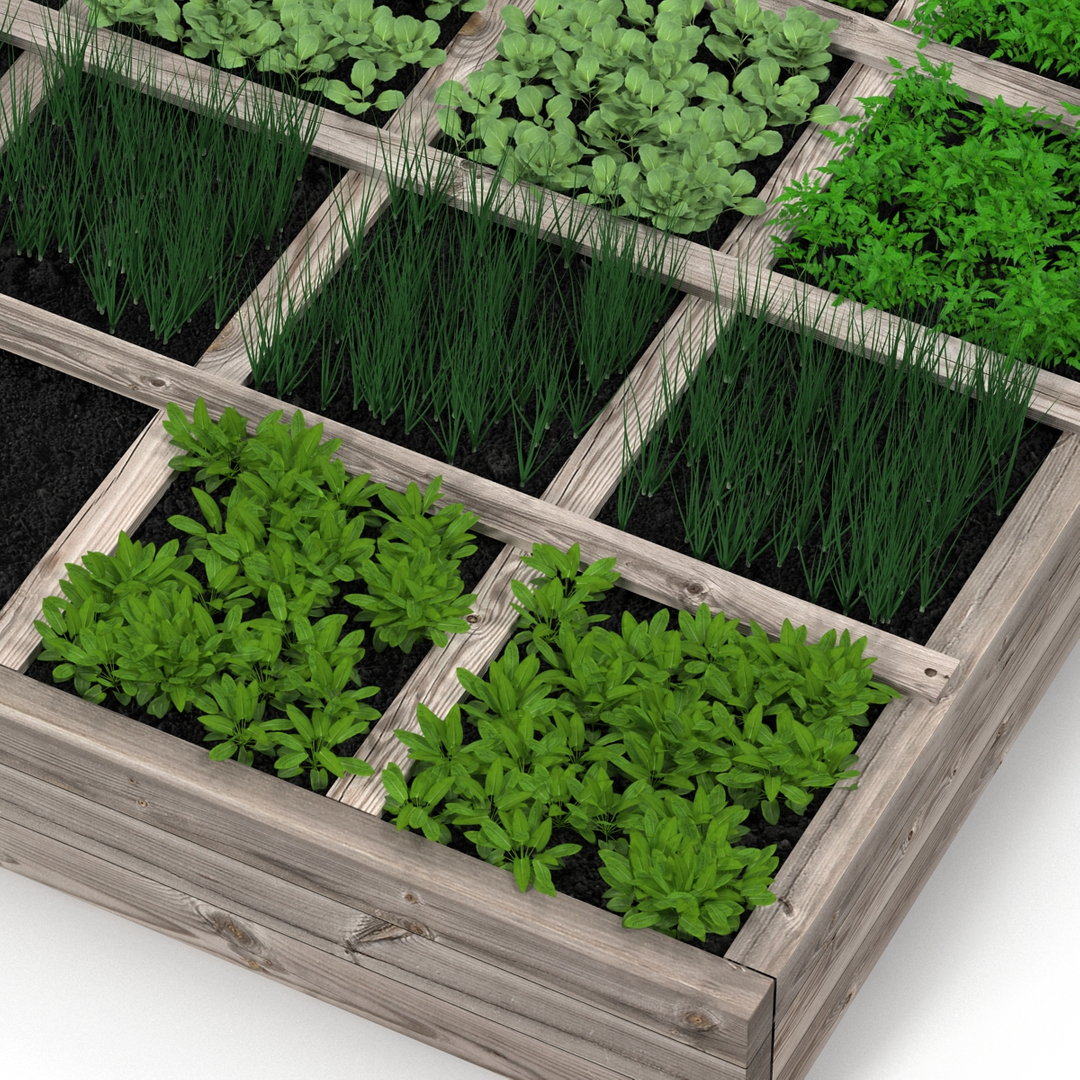 3d vegetable garden