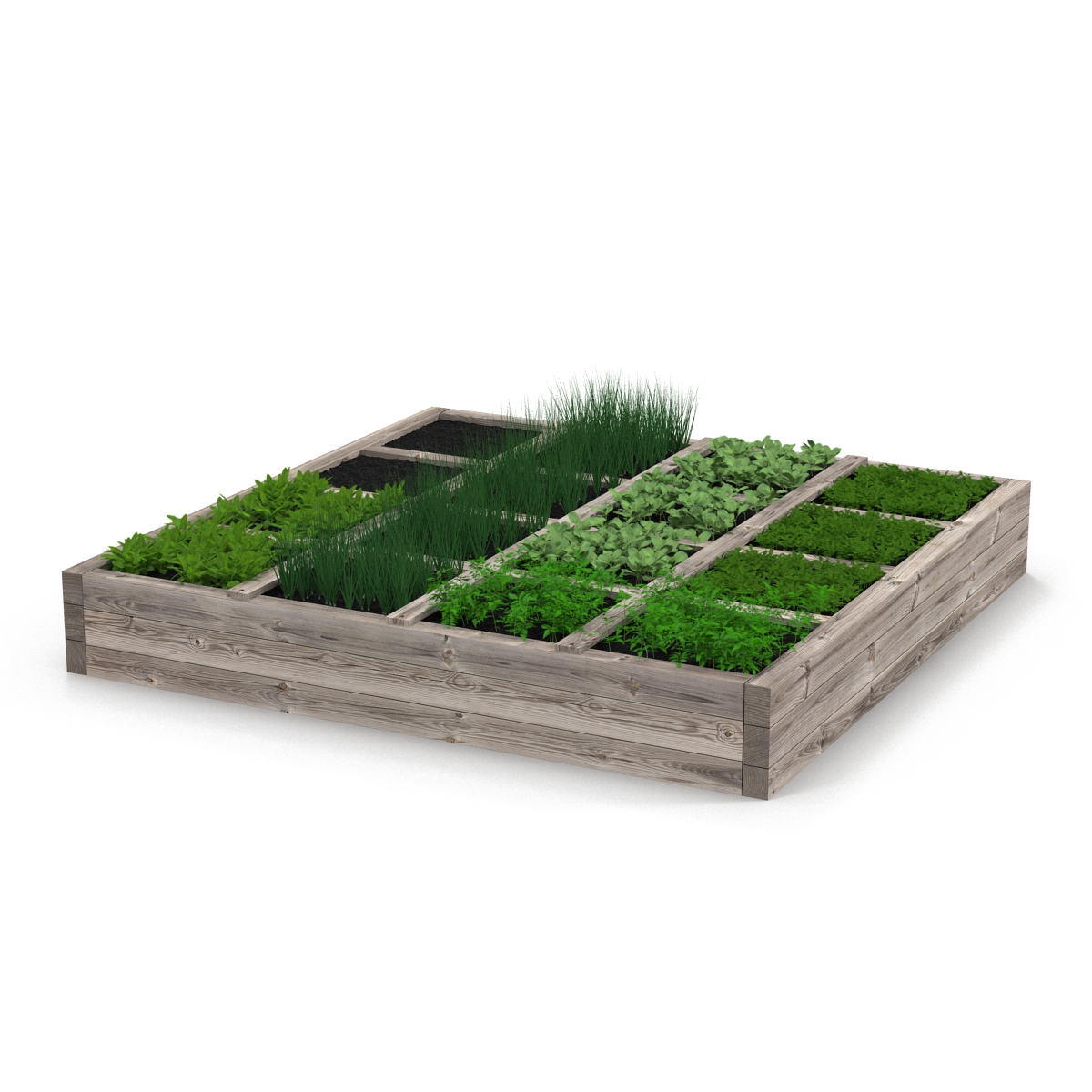 3d vegetable garden