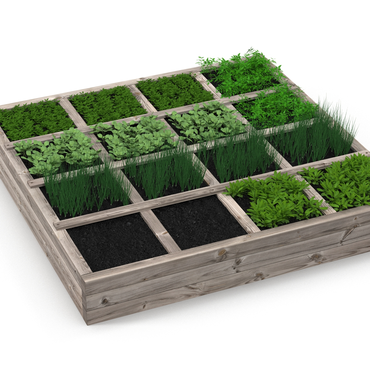 3d vegetable garden