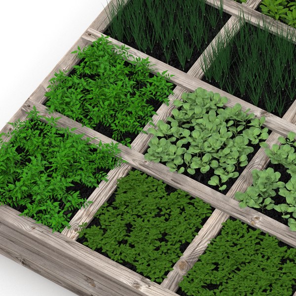 3d vegetable garden