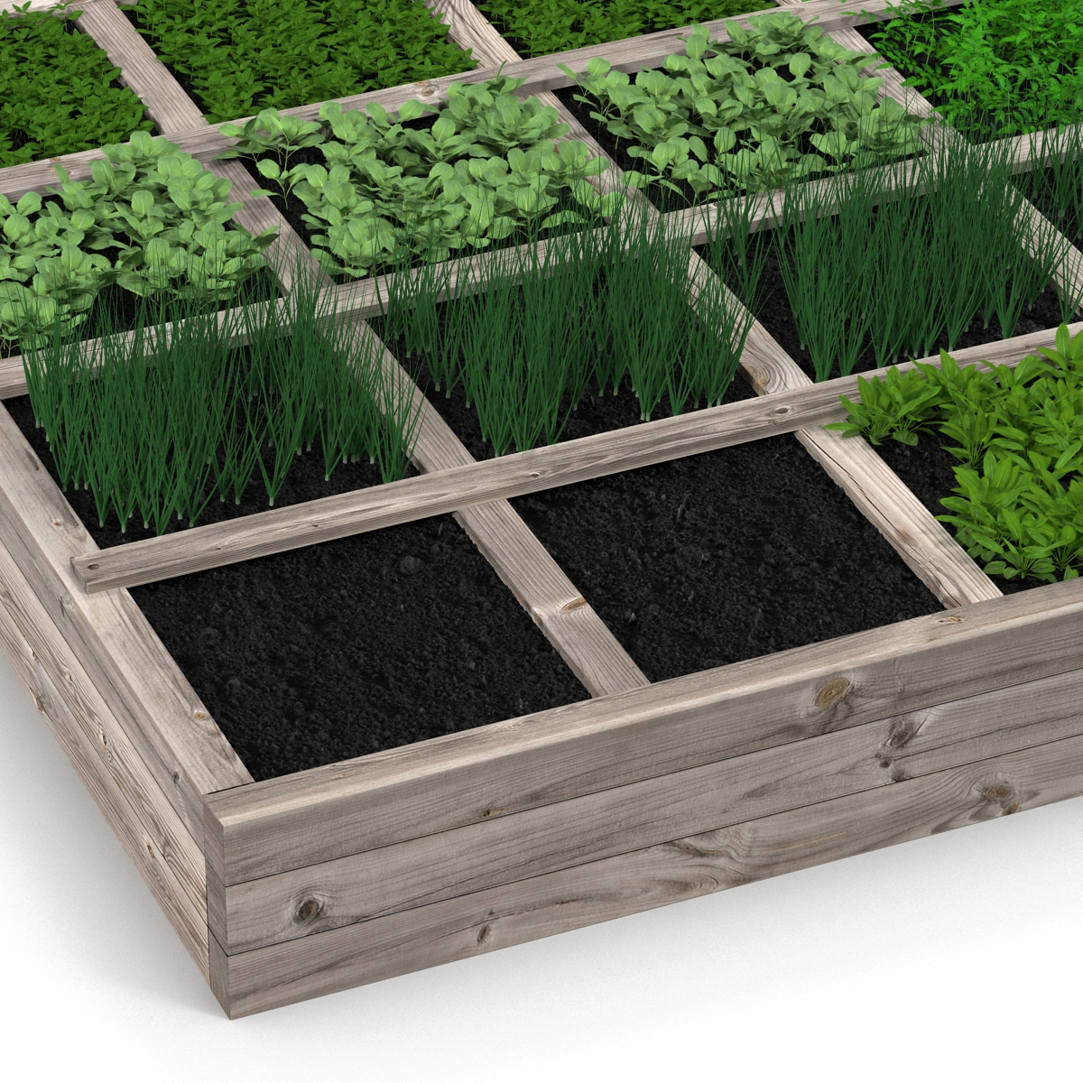 3d vegetable garden