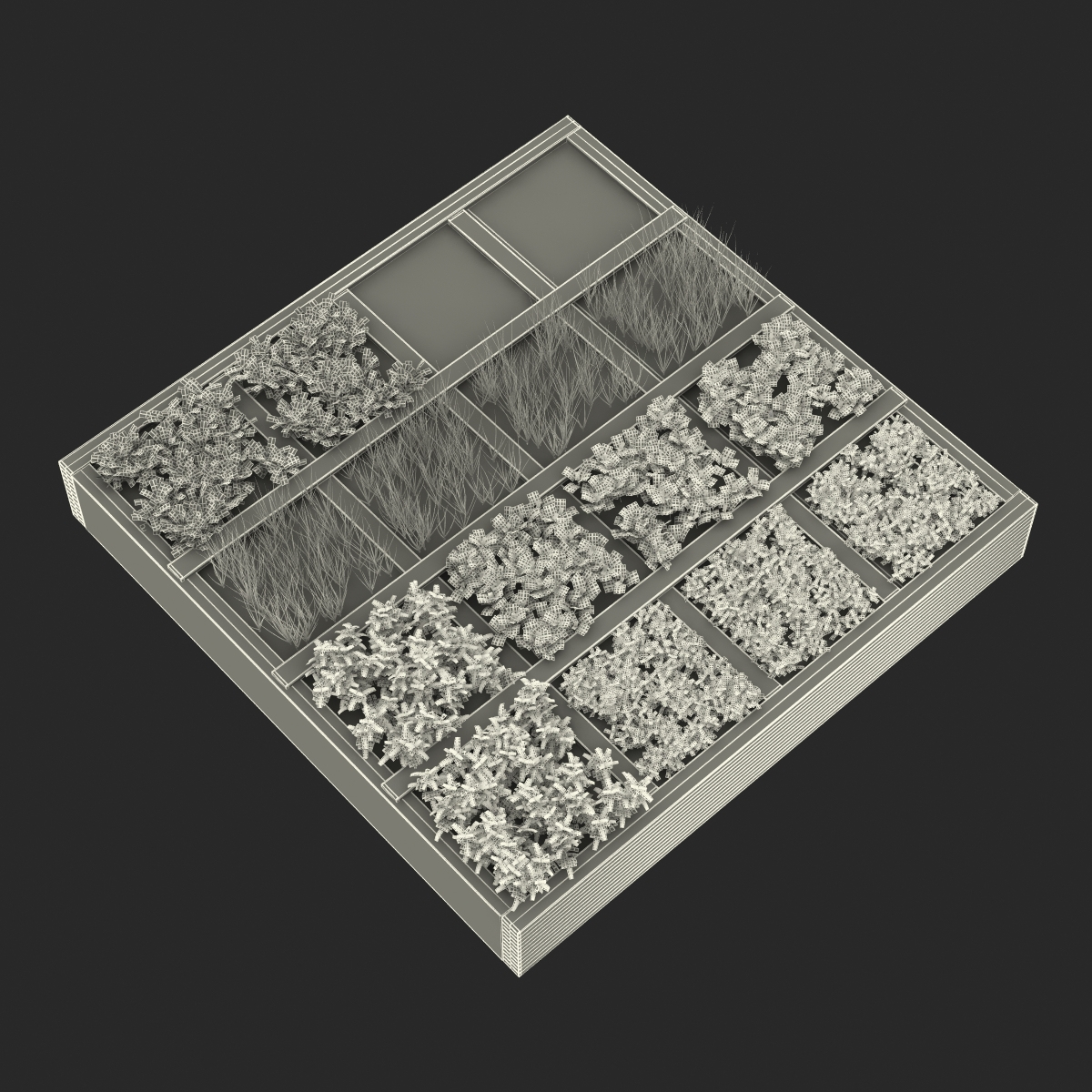 3d vegetable garden