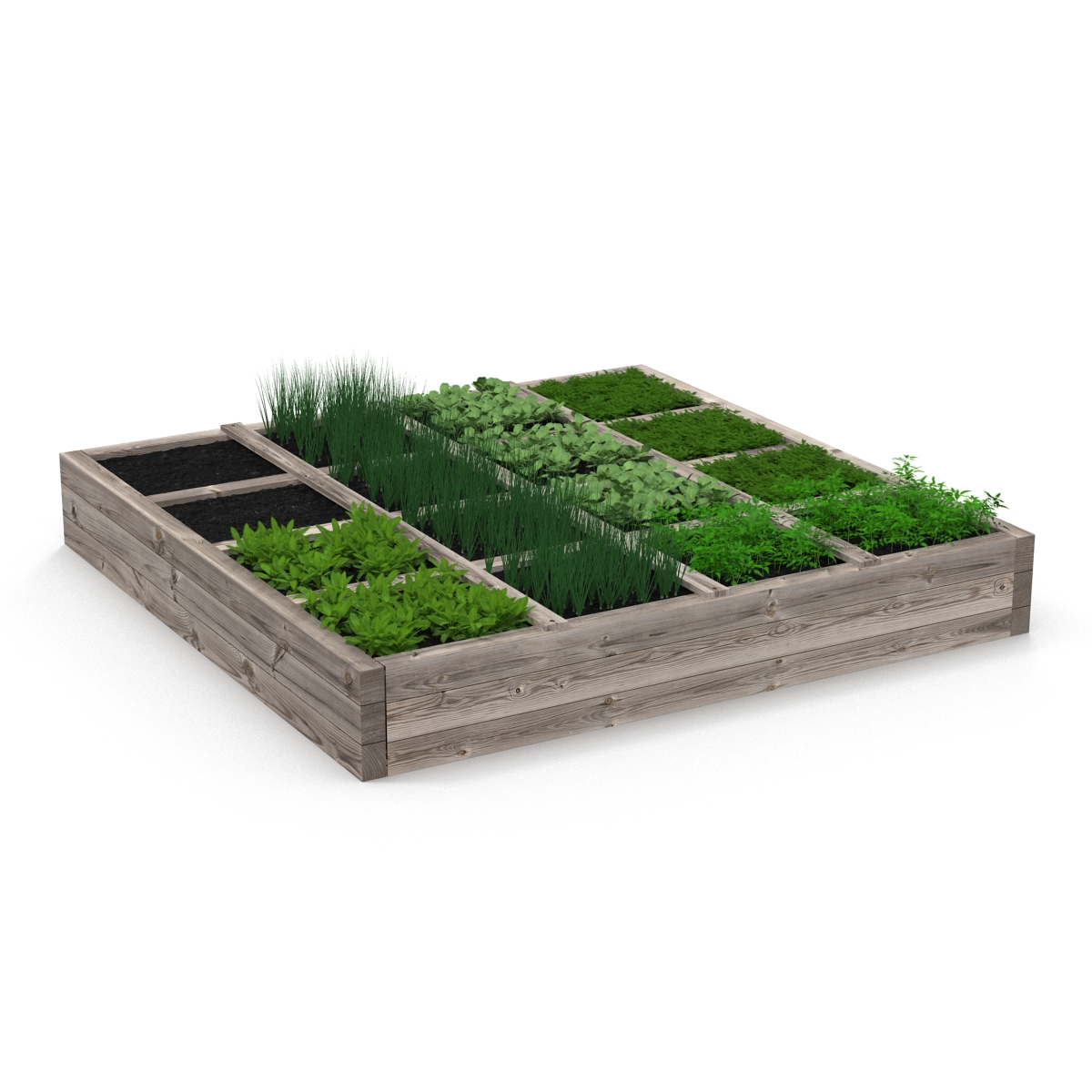 3d vegetable garden