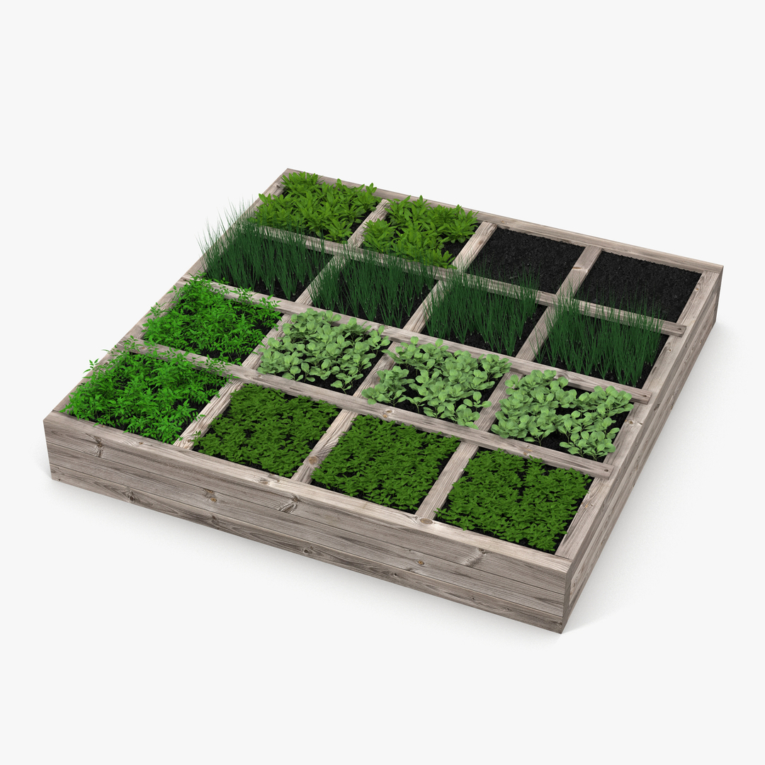 3d vegetable garden
