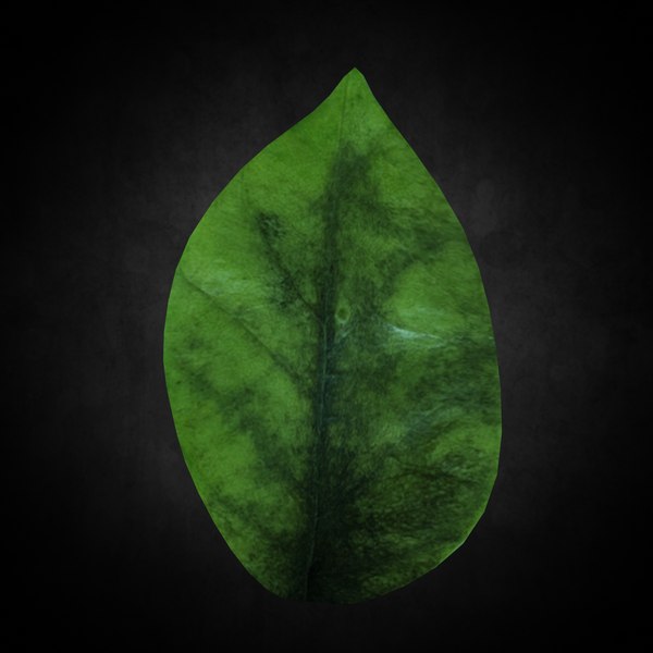 Low Poly Leaf 075 3D model - TurboSquid 1852533