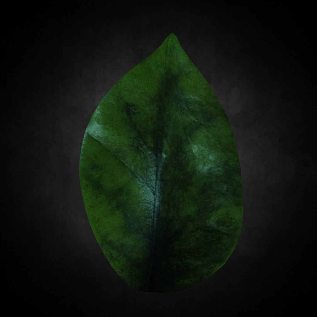 Leaf 3D Model - TurboSquid 1616316