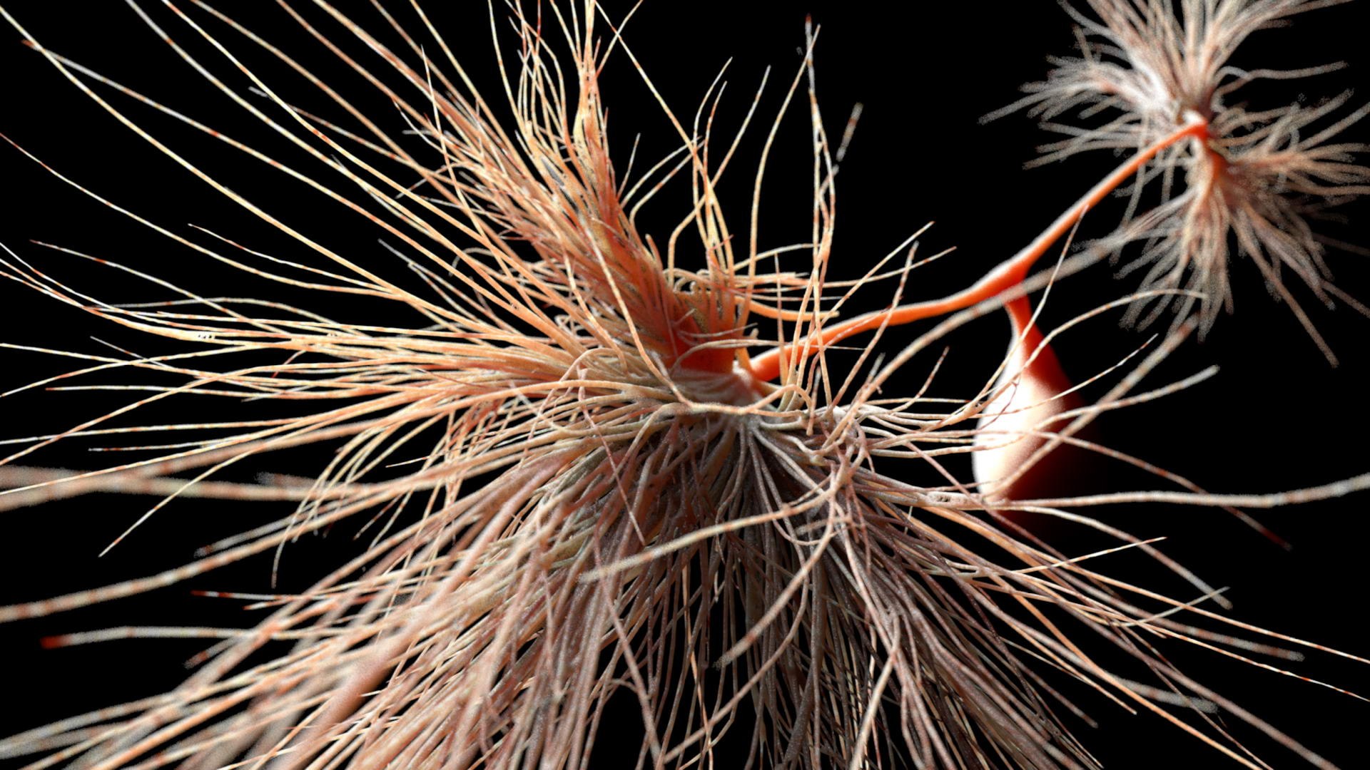 Neuron 3D - TurboSquid 1417730