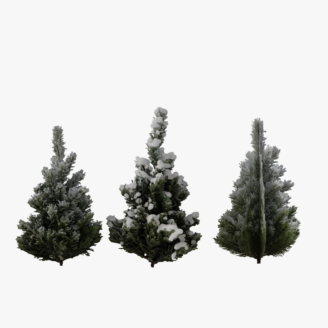 3D Realistic Snow Covered Pine Trees - TurboSquid 1844771