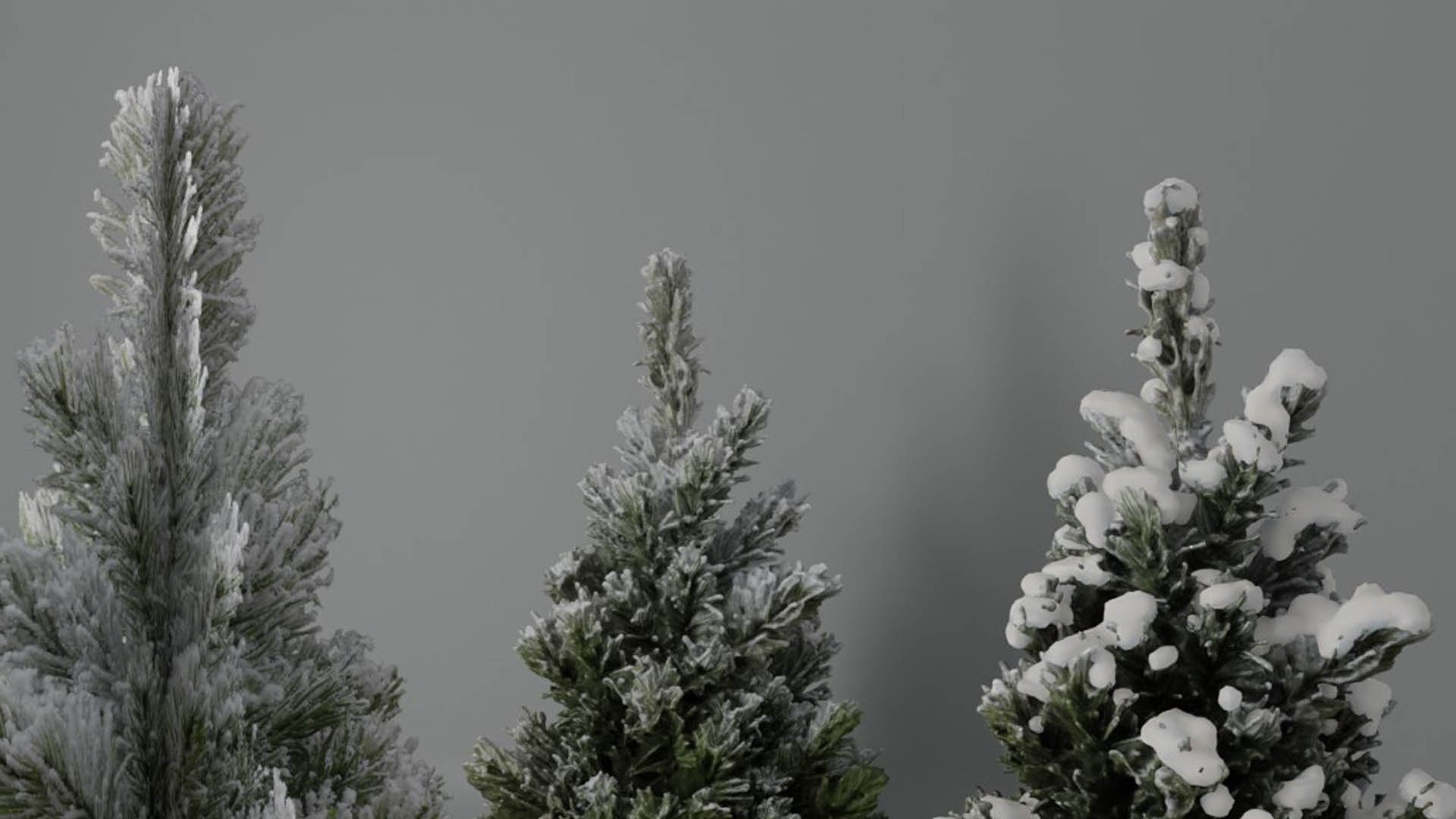 3D Realistic Snow Covered Pine Trees - TurboSquid 1844771
