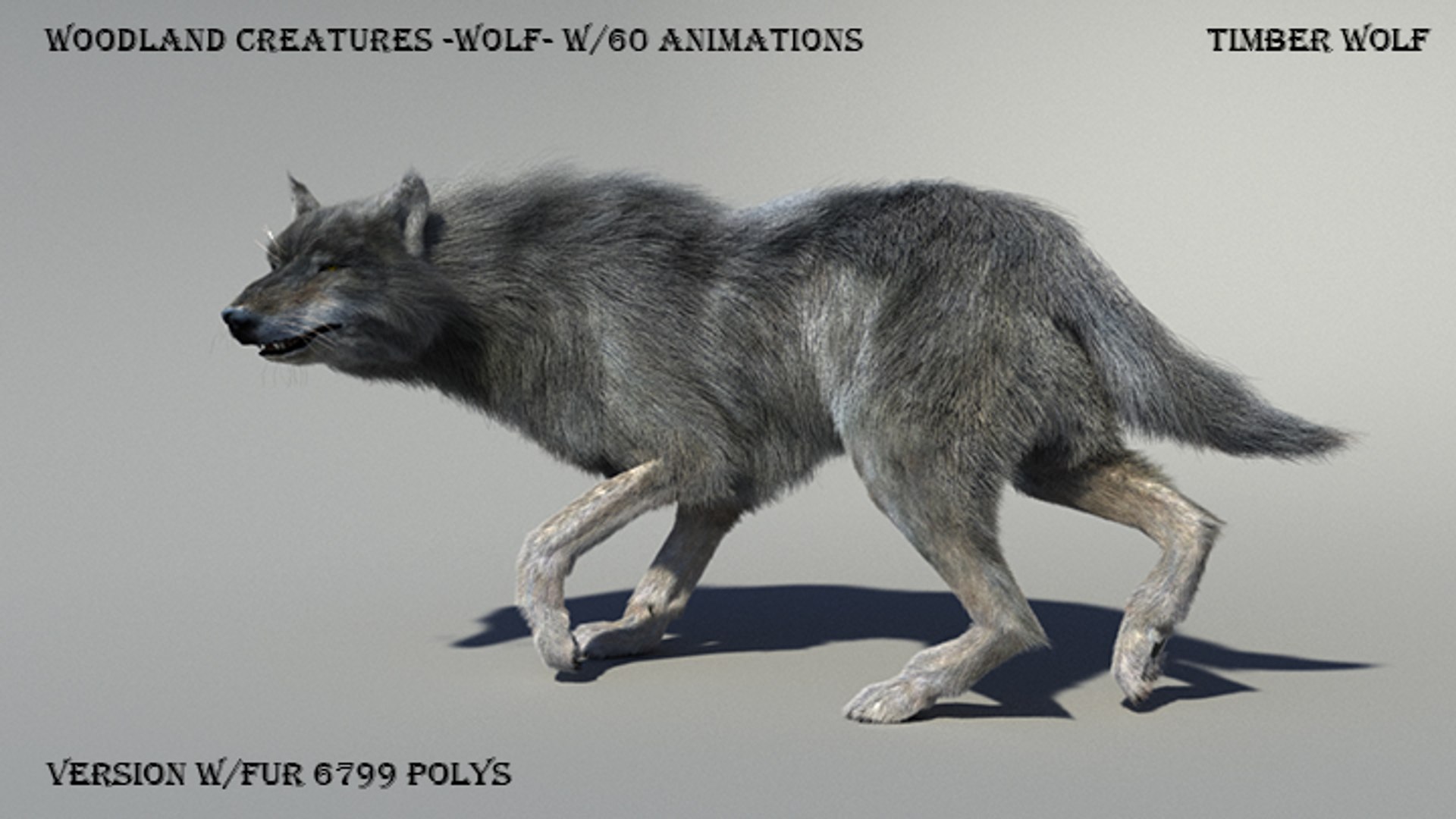 3D Model Timber Wolf Hair Fur - TurboSquid 1239802